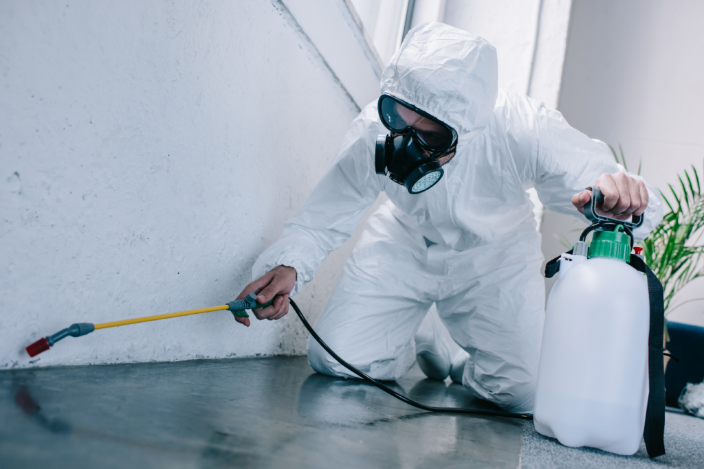 Jack Black Pest Control Services Ltd